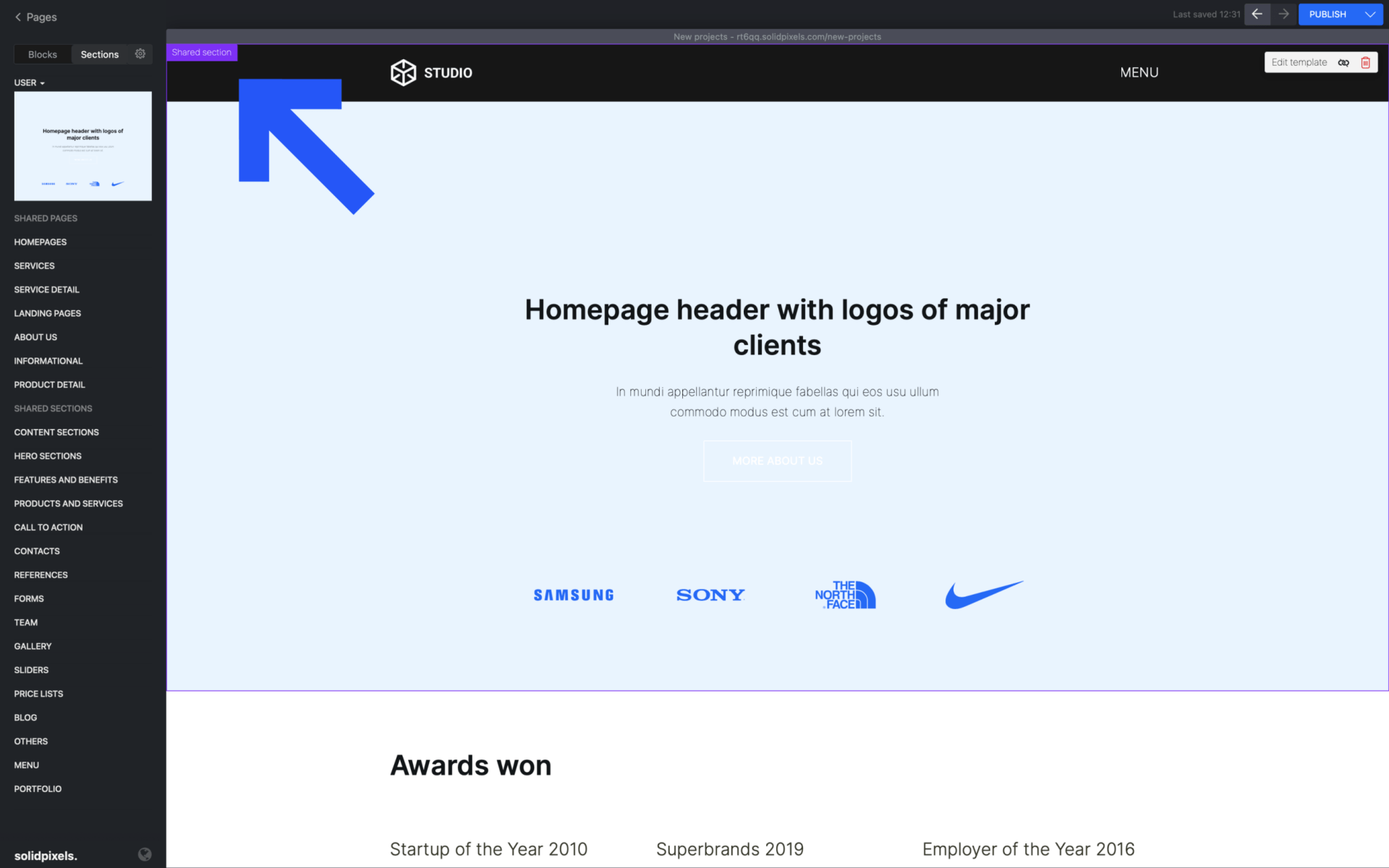 Creating and structuring content using sections | solidpixels academy
