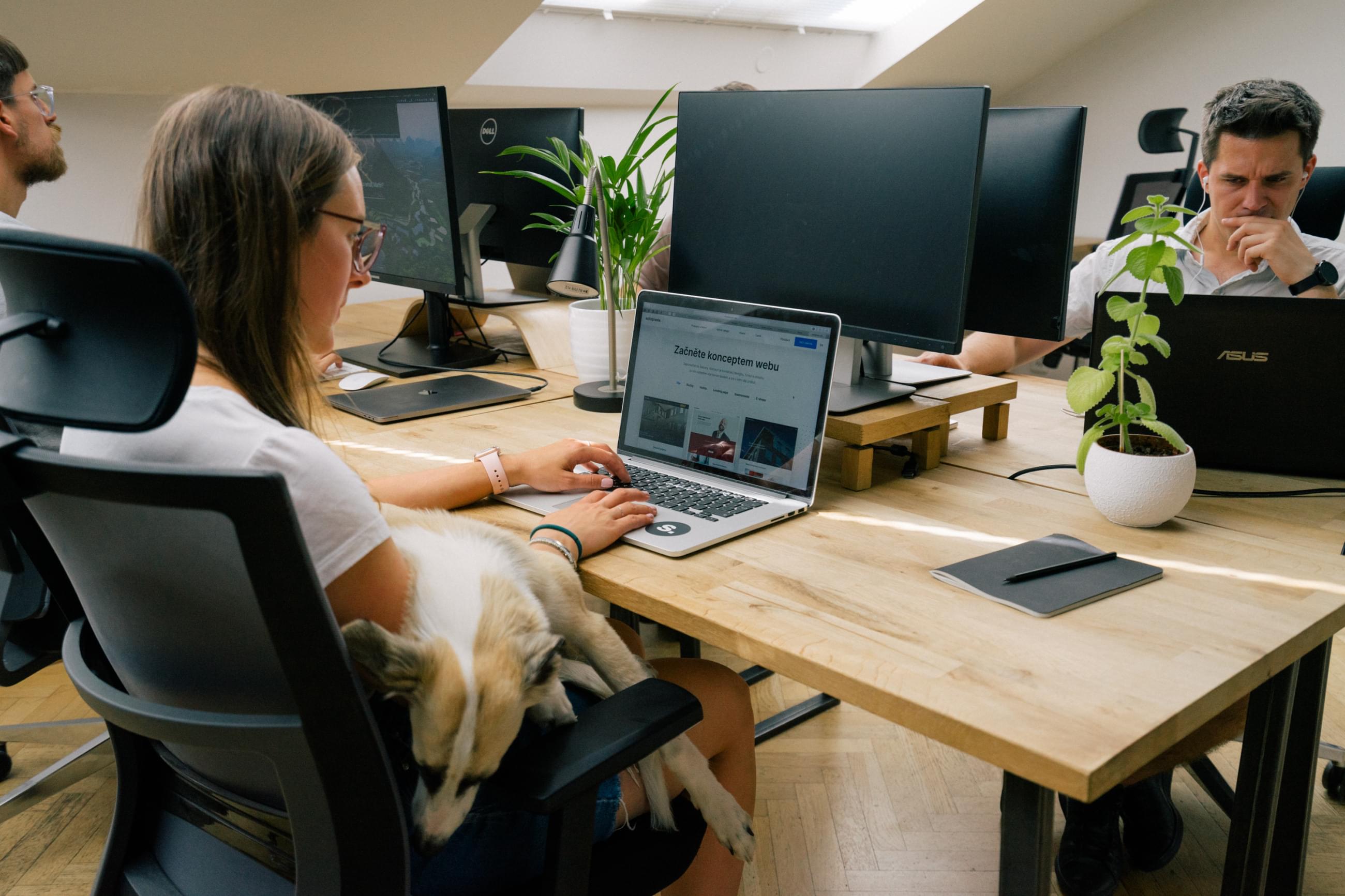 Why Use Formitable for reservation on Your Website? | solidpixels academy